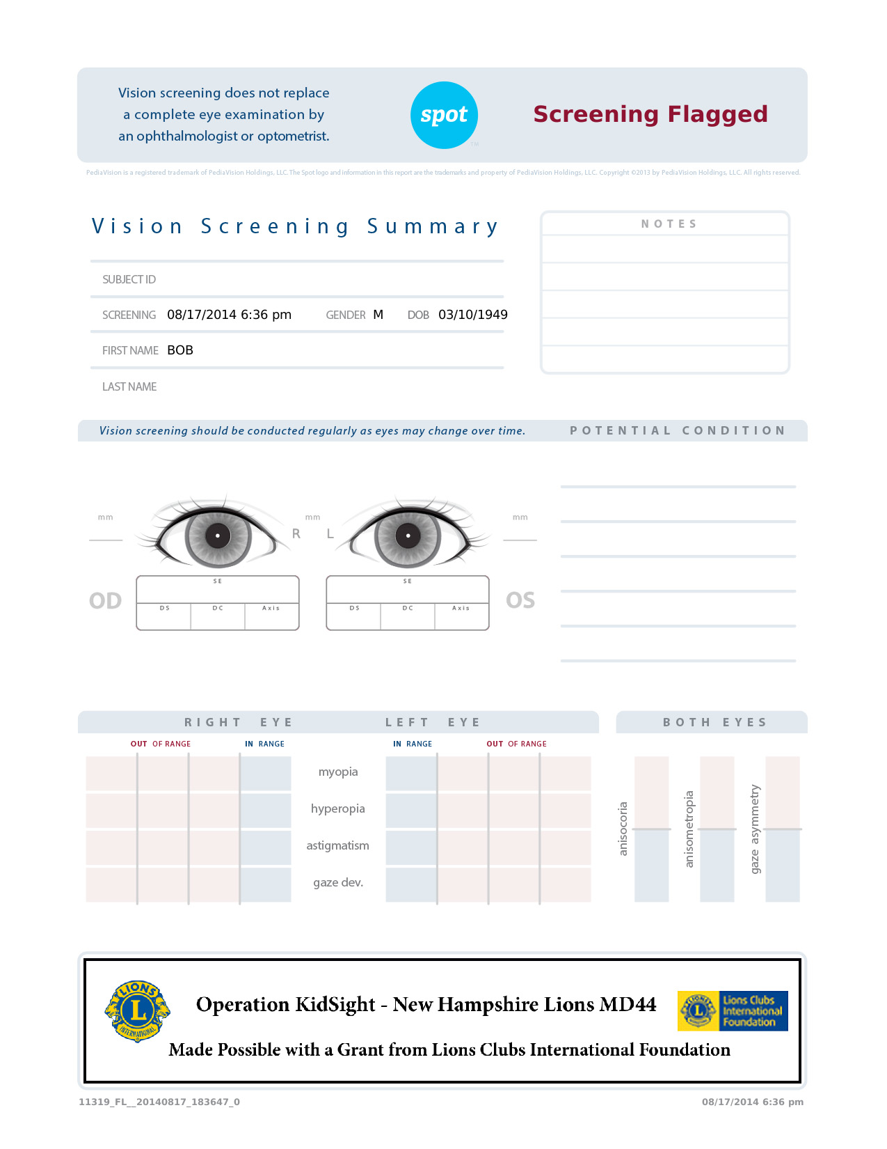 VisionScreening Summary Flagged VisionScreening Summary Flagged